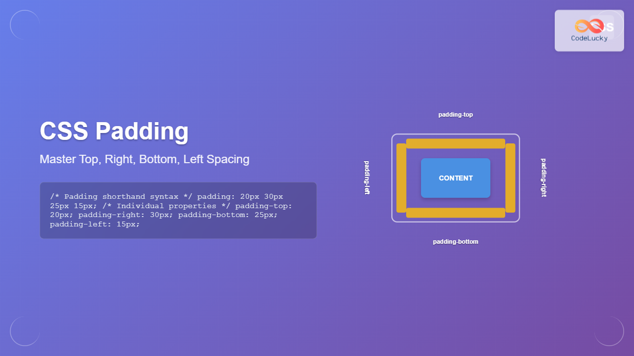 CSS Padding: Complete Guide to Top, Right, Bottom, Left Spacing Properties - CodeLucky