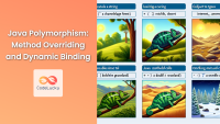 Java Polymorphism: Method Overriding and Dynamic Binding - CodeLucky