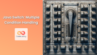 Java Switch: Multiple Condition Handling - CodeLucky
