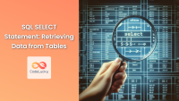 SQL SELECT INTO Statement: Creating New Tables from Query Results - CodeLucky