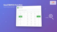 Excel MATCH Function: Complete Position Finding Formula Guide with ...