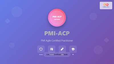 PMI-ACP: Complete Guide to PMI Agile Certified Practitioner Certification - CodeLucky
