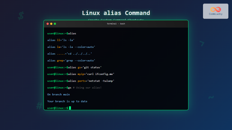 whoami Command Linux: Display Current Username and Identity Information ...