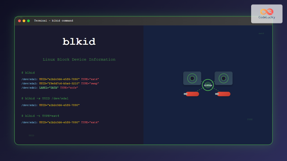 Lsblk Command Linux Complete Guide To List And Manage Block Devices Codelucky