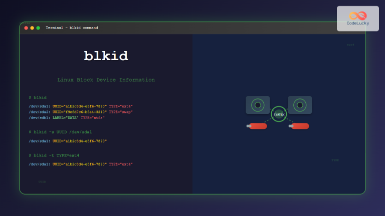 Loop Command Linux Complete Guide To Loop Device Management And Block Device Control Codelucky