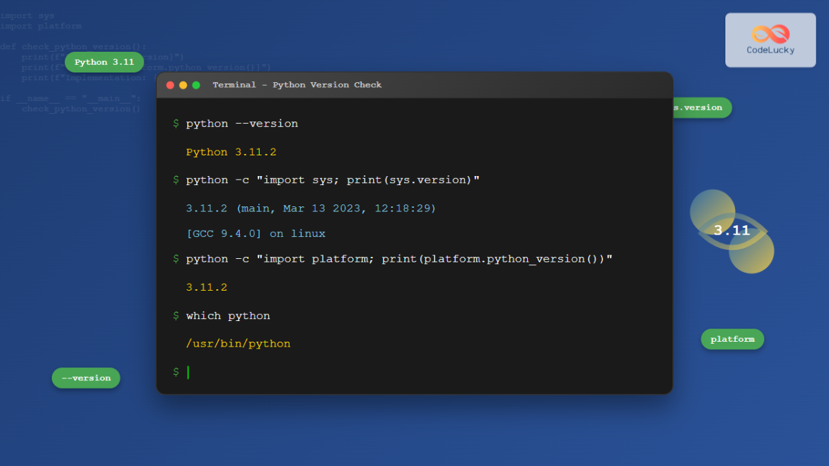 How to Check Which Version of Python Is Installed: Complete Guide for All Platforms - CodeLucky