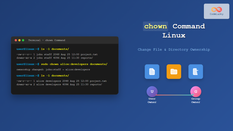 chown Command Linux: Master File and Directory Ownership Management - CodeLucky