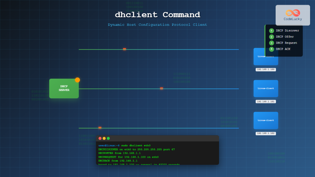 dhcpcd Command Linux: Complete Guide to DHCP Client Daemon Management - CodeLucky