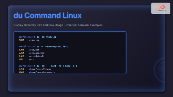 Dd Command Linux Complete Guide To Low Level File Operations And Disk Cloning Codelucky