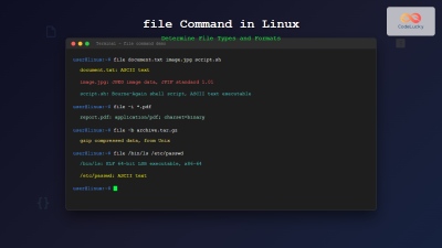 sort Command in Linux: Complete Guide to Sorting Text Files and Data - CodeLucky