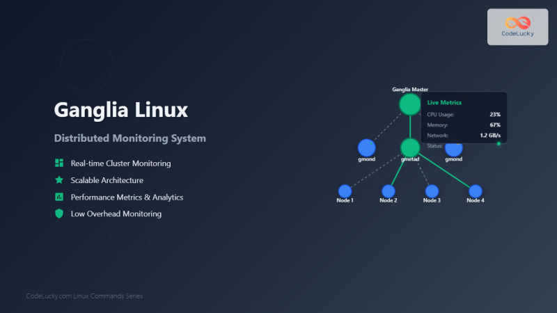 Prometheus Linux Complete Monitoring And Alerting Toolkit Guide Codelucky