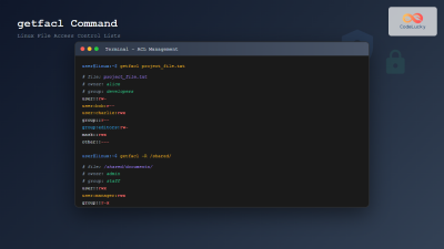 groups Command Linux: Complete Guide to Display User Group Memberships - CodeLucky