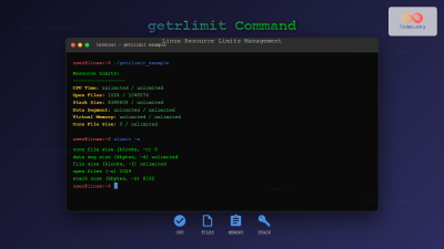 quota Command Linux: Complete Guide to Display and Manage Disk Usage Quotas - CodeLucky