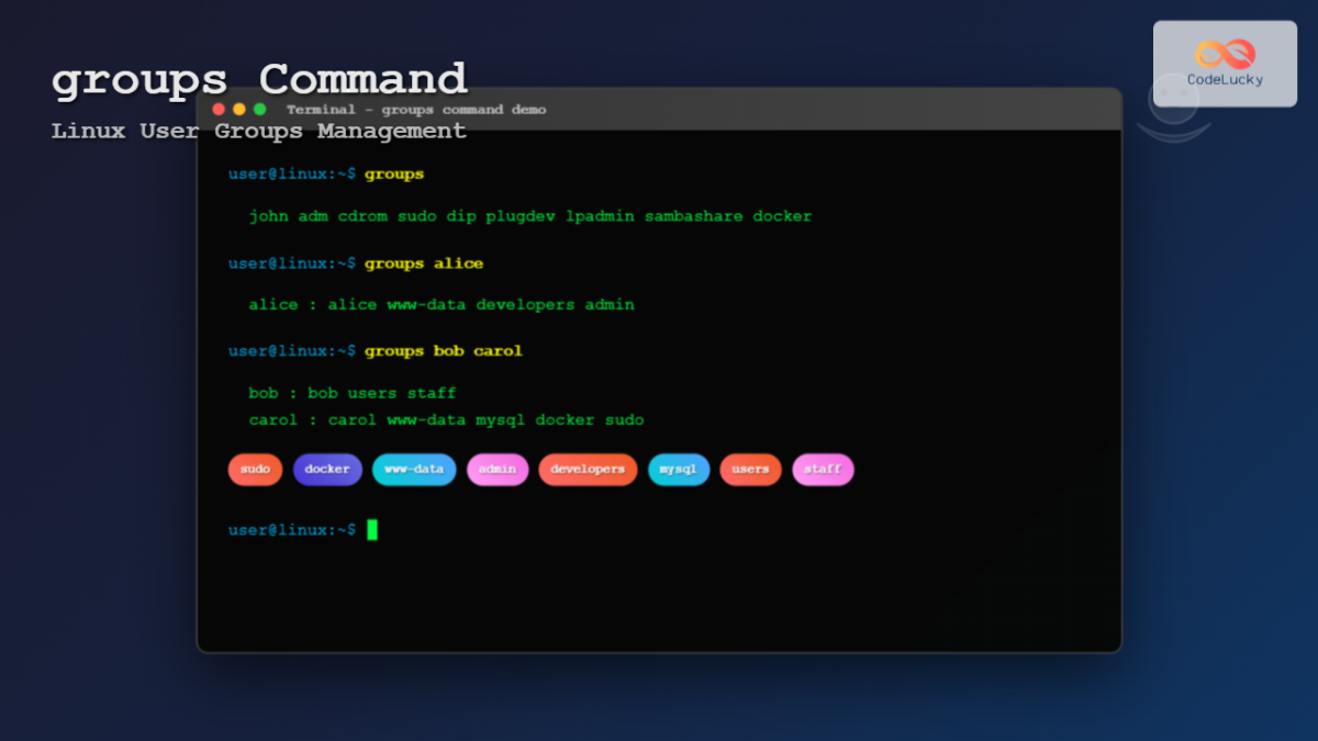 Who Command In Linux Complete Guide To Display Logged In Users Codelucky