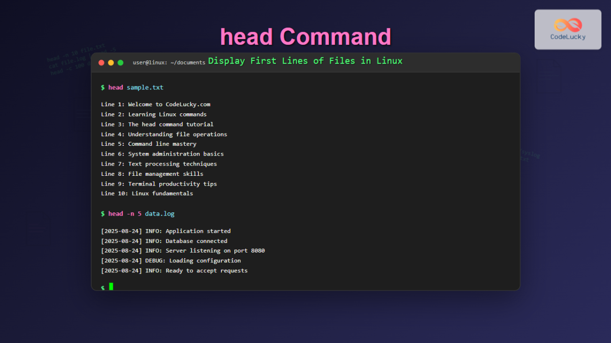 tail Command Linux: Complete Guide to Display Last Lines and Follow Logs in Real-Time - CodeLucky