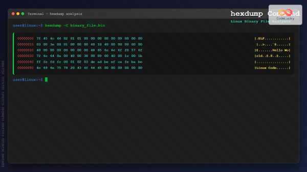 readelf Command Linux: Complete Guide to ELF File Analysis and Debugging - CodeLucky