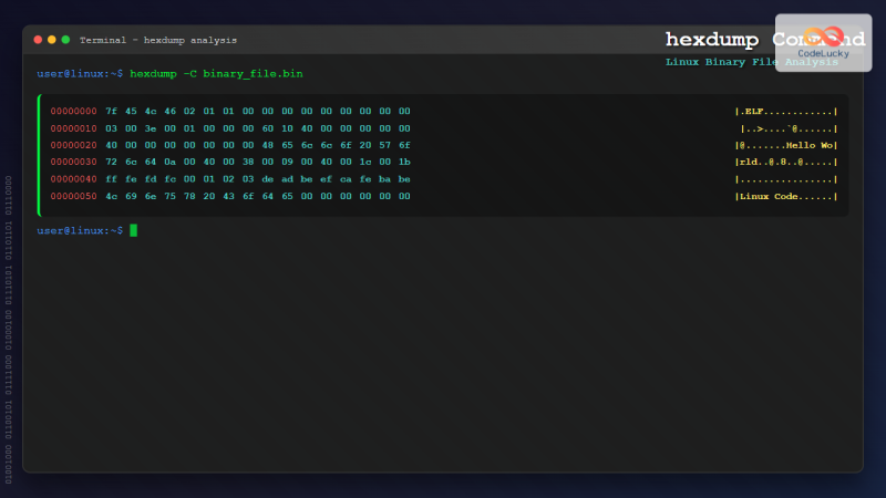 hexdump Command Linux: Complete Guide to Display File Contents in Hexadecimal Format - CodeLucky