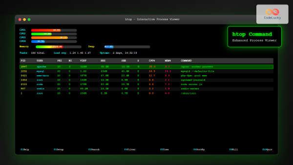 Bg Command In Linux Resume Jobs In Background With Examples Codelucky