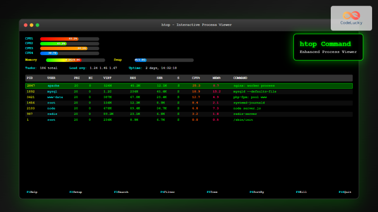 Top Command Linux Complete Guide To Real Time Process Monitoring Codelucky