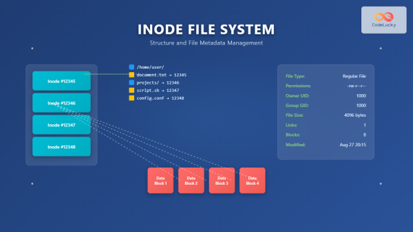 sysfs Linux: Complete Guide to Understanding and Using /sys Filesystem - CodeLucky