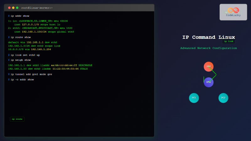 systemd-networkd Linux: Complete Network Configuration Manager Guide - CodeLucky