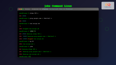 fg Command Linux: Complete Guide to Managing Background and Foreground ...