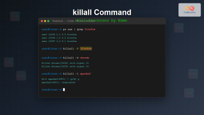 nohup Command Linux: Run Commands After Logout and Keep Processes Running - CodeLucky