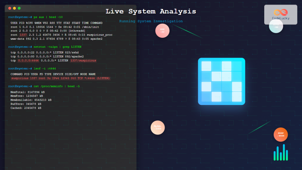 Live System Analysis: Complete Guide to Running System Investigation Techniques - CodeLucky