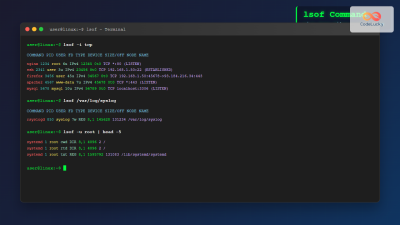lsof Command Linux: Complete Guide to List Open Files and Running ...