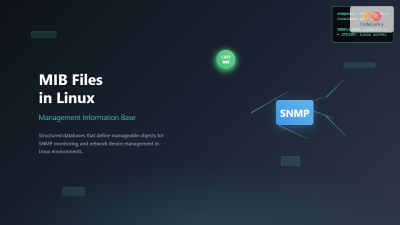 mibs Linux: Complete Guide to Management Information Base Files and ...