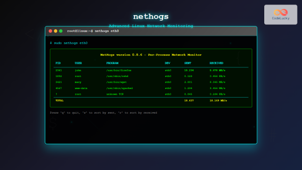 nethogs Advanced Linux: Complete Guide to Per-Process Network Monitoring - CodeLucky