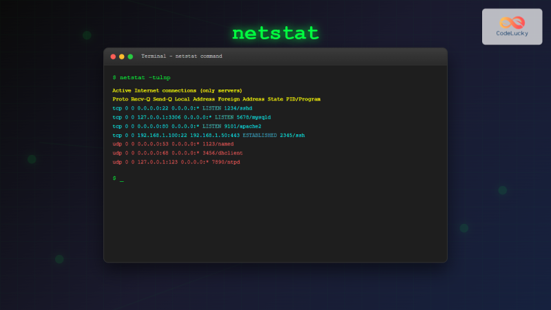 nmtui Command Linux: Complete Guide to NetworkManager Text User ...