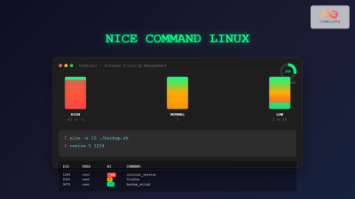 top Command Linux: Complete Guide to Real-Time Process Monitoring ...