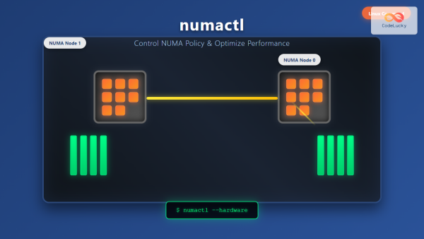 Numactl Command Linux Complete Guide To Numa Policy Control And Optimization Codelucky