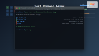 perl Command Linux: Complete Guide to Executing Perl Scripts on Linux Systems - CodeLucky