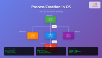 Process Creation in OS: Fork, Exec and Process Spawning Complete Guide - CodeLucky