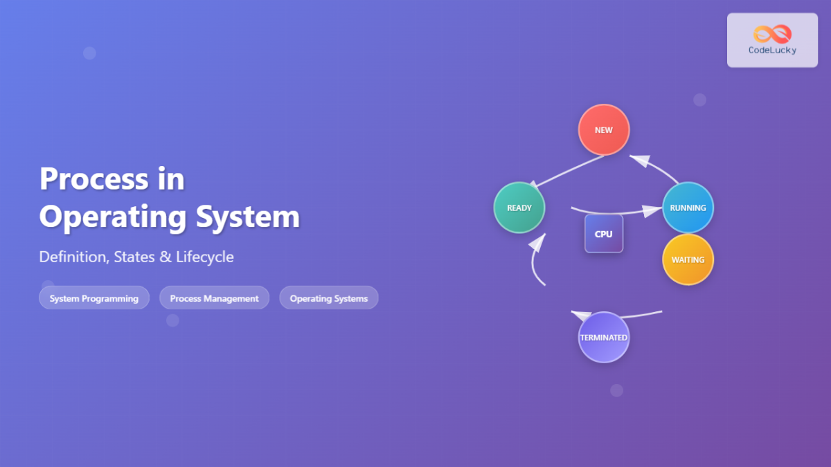 Garbage Collection in Operating System: Complete Guide to Automatic Memory Management - CodeLucky