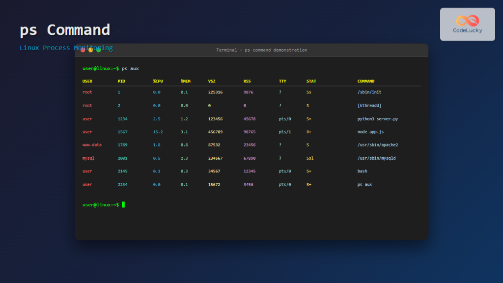 Htop Command Linux Complete Guide To Advanced Process Monitoring And Management Codelucky