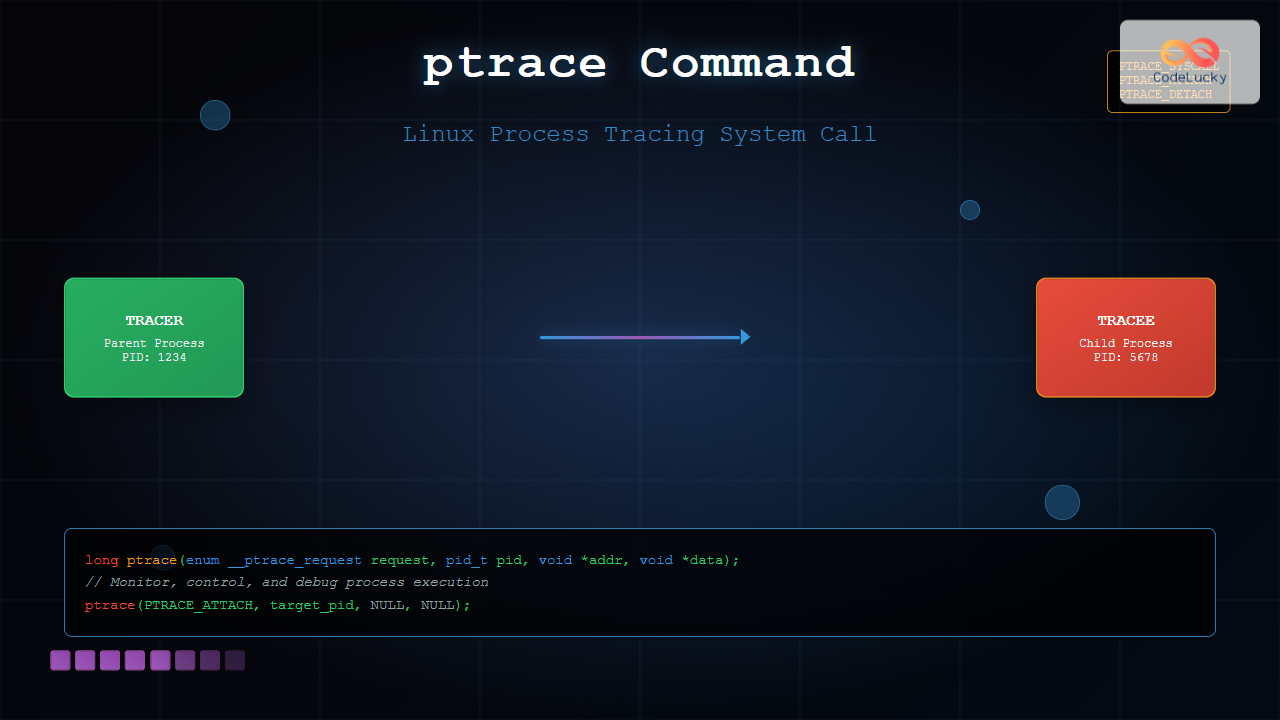Htop Command Linux Complete Guide To Advanced Process Monitoring And Management Codelucky