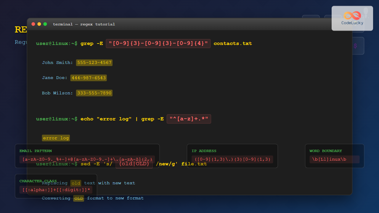 PHP Regular Expressions: Pattern Matching with preg_match() - CodeLucky