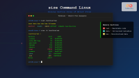head Command in Linux: Display First Lines of Files Efficiently - CodeLucky