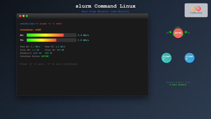 nethogs Command Linux: Monitor Real-Time Network Usage by Process - CodeLucky