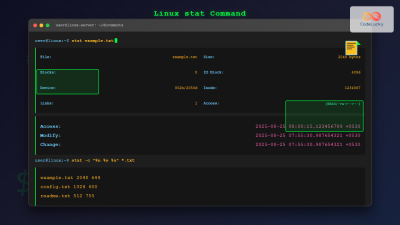 file Command in Linux: Complete Guide to Determine File Types and Formats - CodeLucky