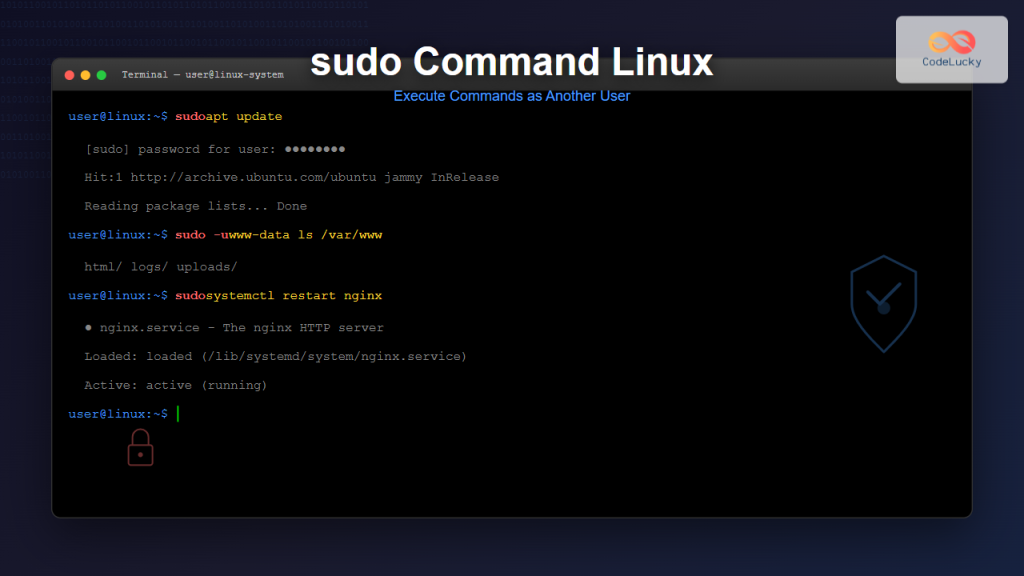 passwd Command Linux: Complete Guide to Password Management from Terminal - CodeLucky