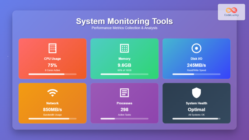 Cloud Computing Models: IaaS, PaaS, SaaS - Complete Guide with Examples - CodeLucky
