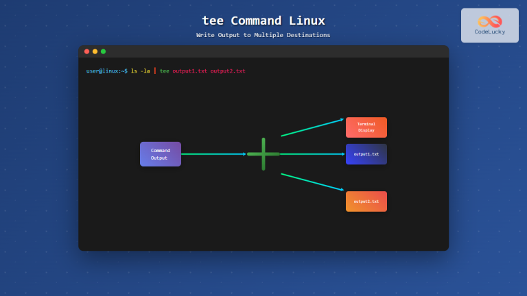 Tail Command Linux Complete Guide To Display Last Lines And Follow Logs In Real Time Codelucky