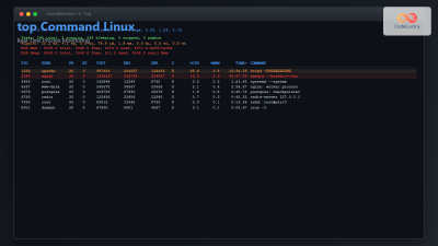 last Command Linux: Display Login History and System Boot Records - CodeLucky