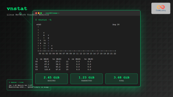 bmon Command Linux: Complete Guide to Real-Time Bandwidth Monitoring and Network Analysis ...