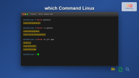 env Command Linux: Complete Guide to Display Environment Variables - CodeLucky