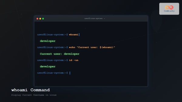 passwd Command Linux: Complete Guide to Password Management from Terminal - CodeLucky